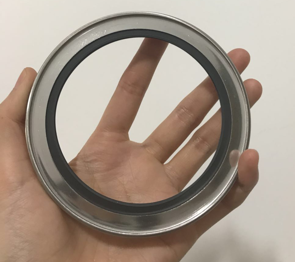 Double Lip Stainless Steel Industrial Seal with PTFE Carbon Lips